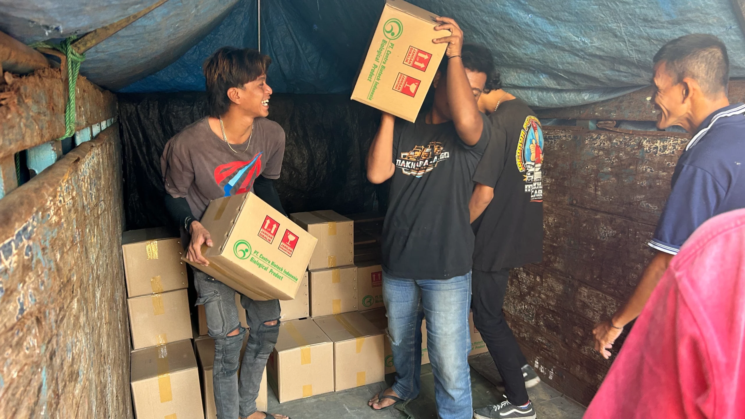 Kirim Motor Surabaya Timika Super Aman 100%